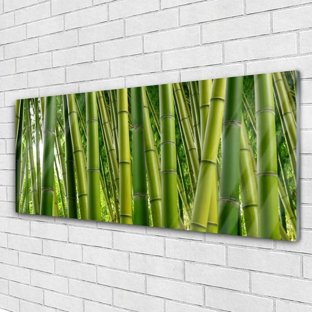 Plexisklo-obraz Bambusový Les Bambusové Výhonky 125x50 cm