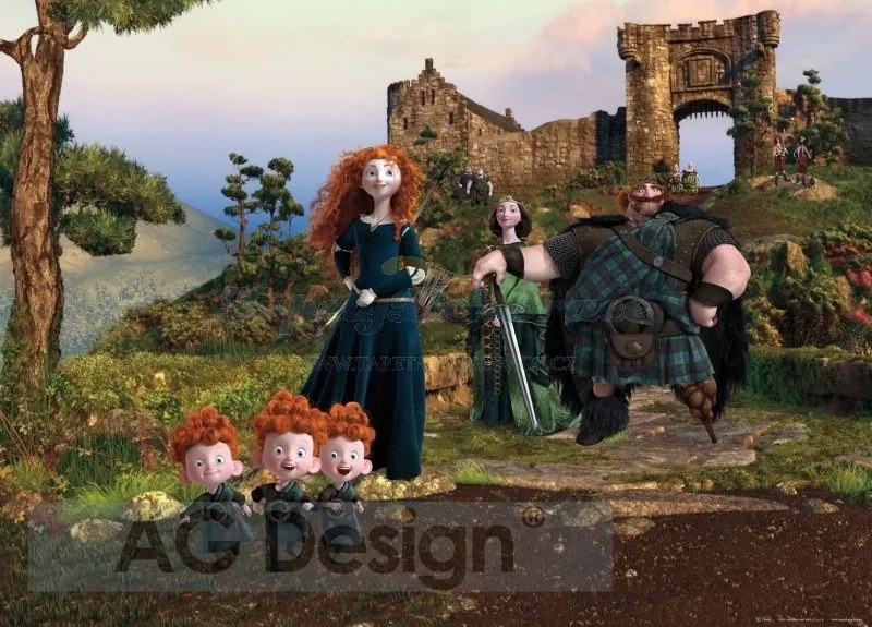 Fototapeta dětská 1-dílná Rebelka / Fototapety dětské (160 x 115cm) Disney Brave FT0702 AG Design