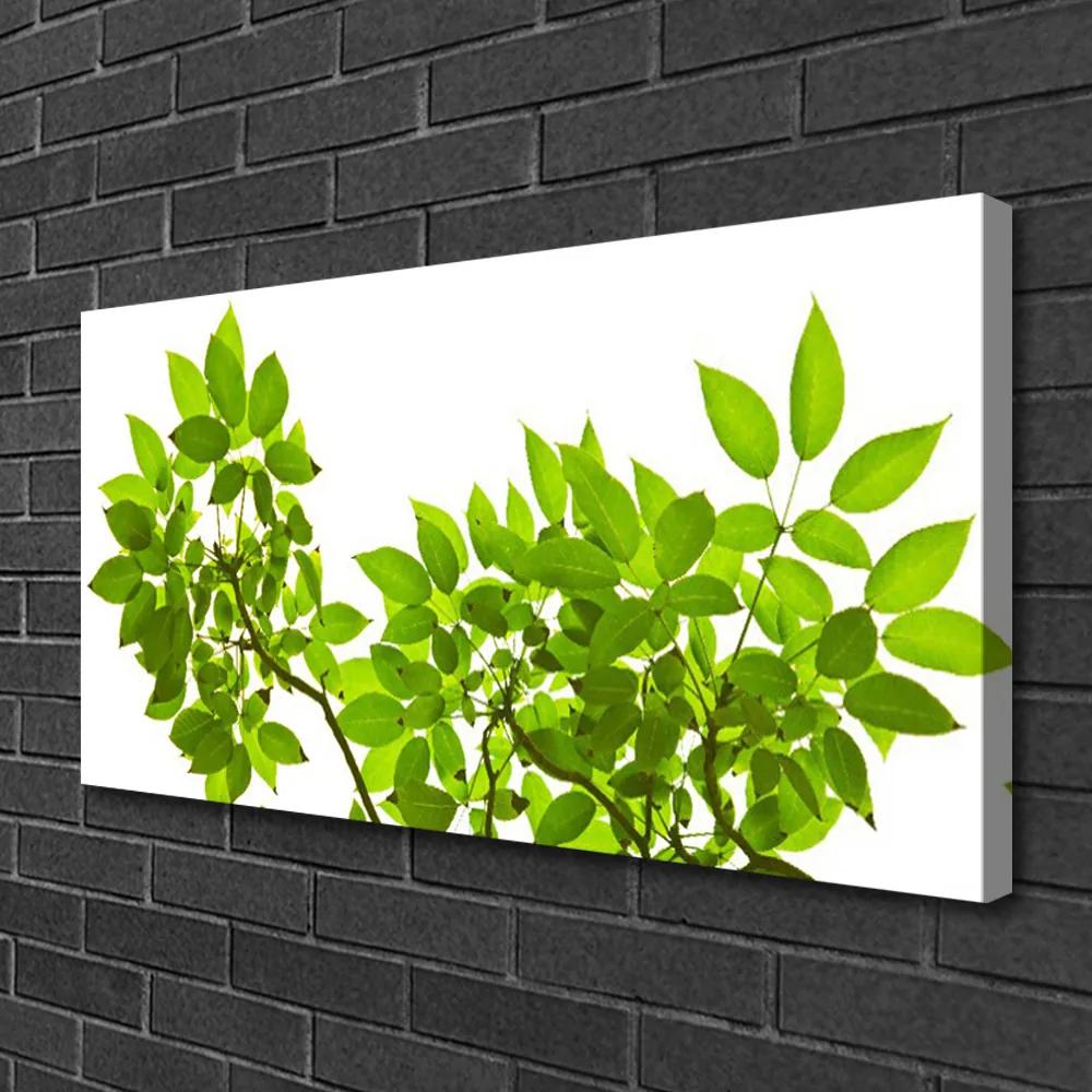 Obraz na plátně Větev Listy Rostlina Příroda 120x60 cm