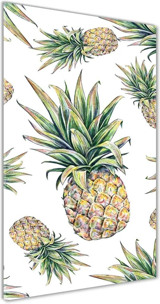 Moderní obraz canvas na rámu Ananasy