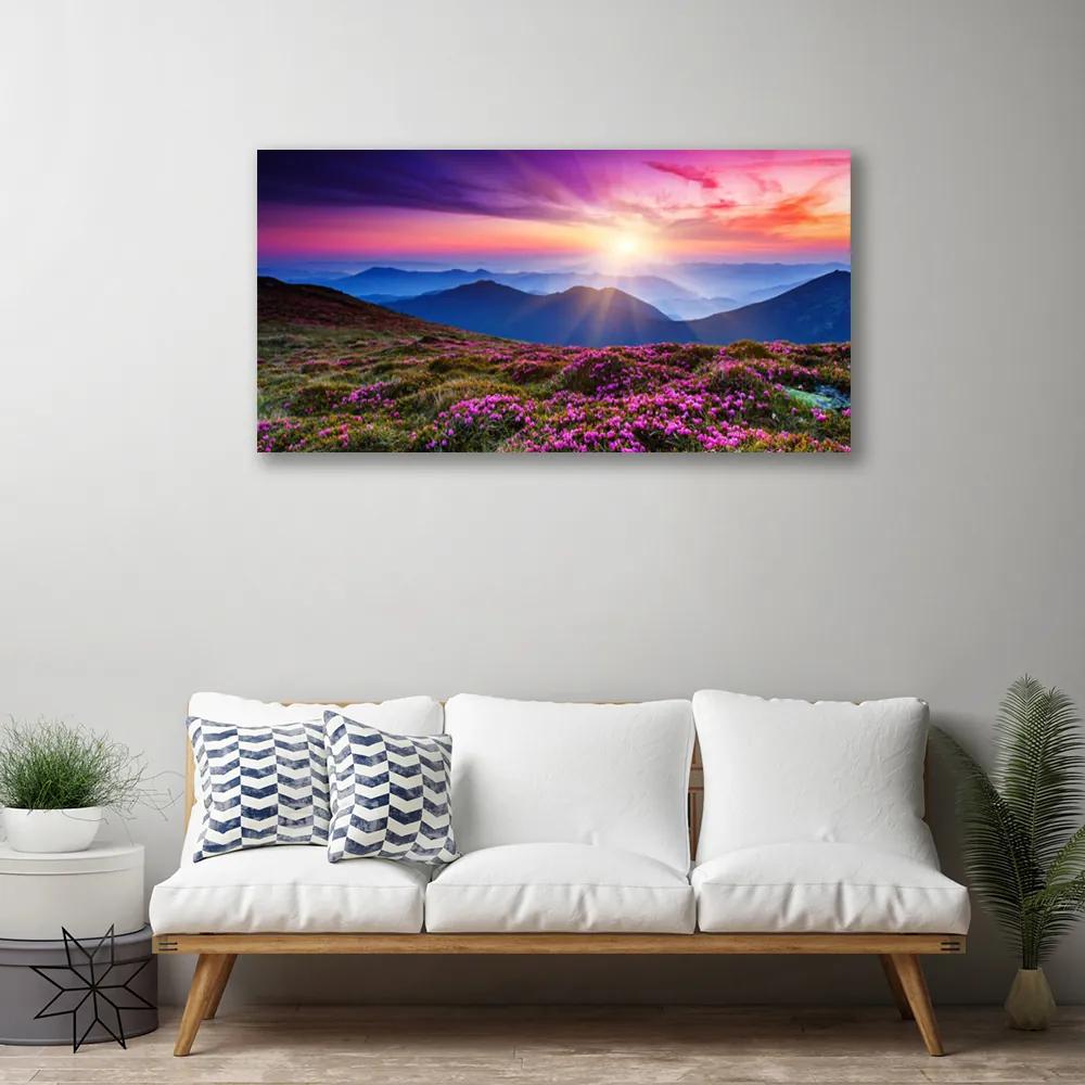 Obraz na plátně Hora Louka Slunce Krajina 125x50 cm