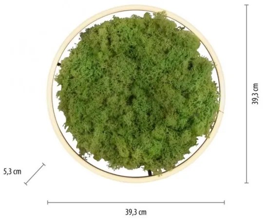 JUST LIGHT. 15391-66 - LED Stmívatelné stropní svítidlo GREEN RITU LED/20W/230V