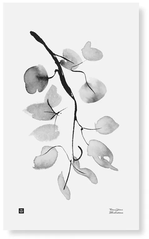 Plakát Birch Branch 30x50