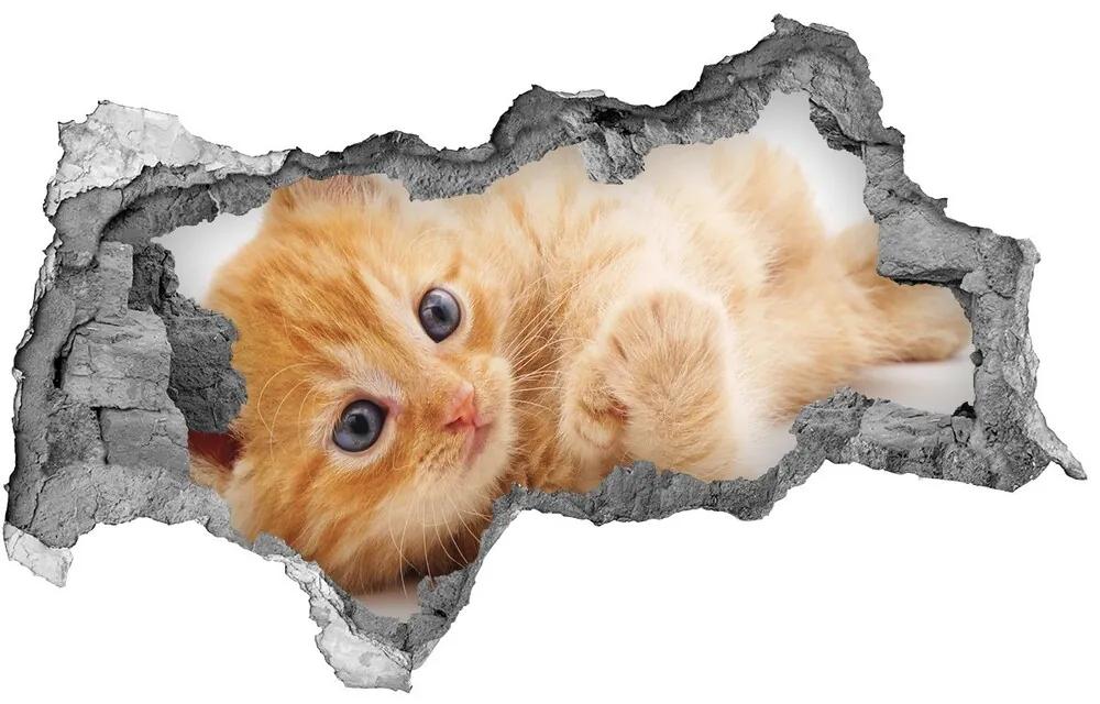 Wallmuralia Díra 3D fototapeta nálepka Červená kočka 95x73 cm