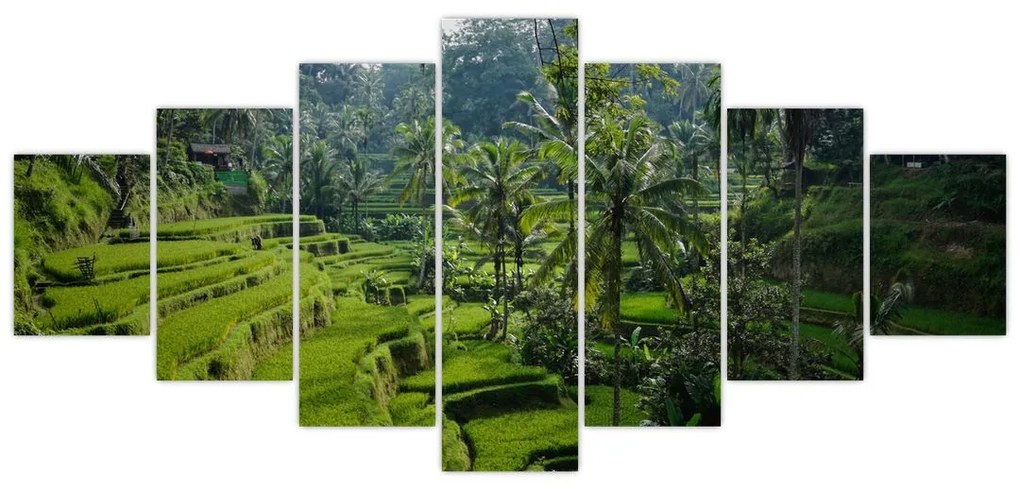 Obraz rýžových teras Tegalalang, Bali (210x100 cm)