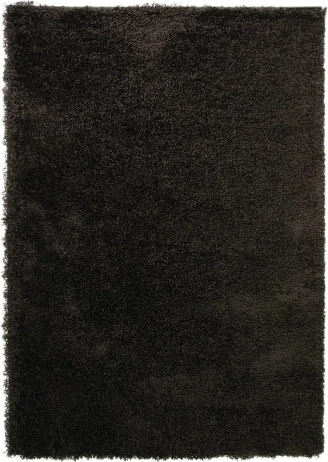 Černý koberec Flair Rugs Cariboo Black, 160 x 230 cm
