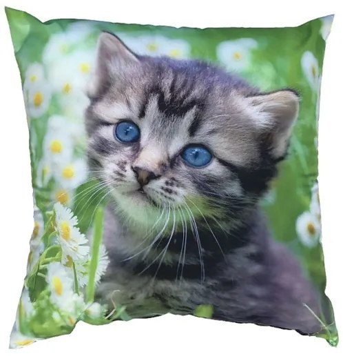 DADKA Fotopolštářek Kotě na louce 40x40 cm