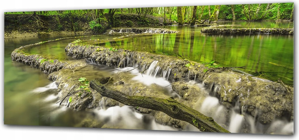 Skleněný obraz 80x30 grafika za sklem les