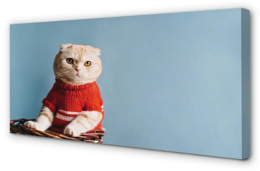 Obrazy na plátně sedící kočka 140x70 cm