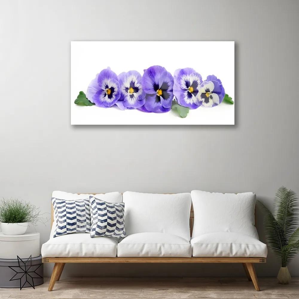 Obraz na skle Plátky Květ Macešky 100x50 cm