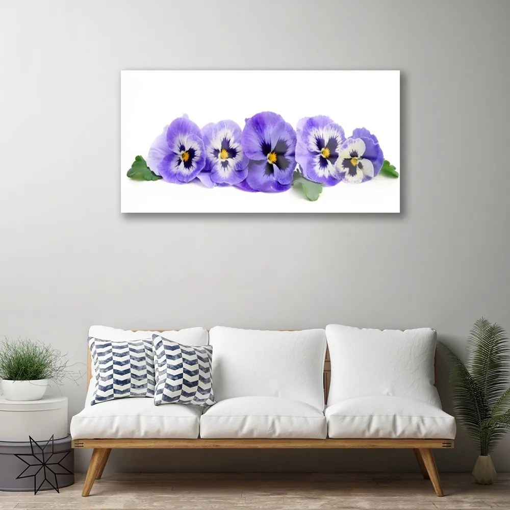 Obraz na skle Plátky Květ Macešky 120x60 cm