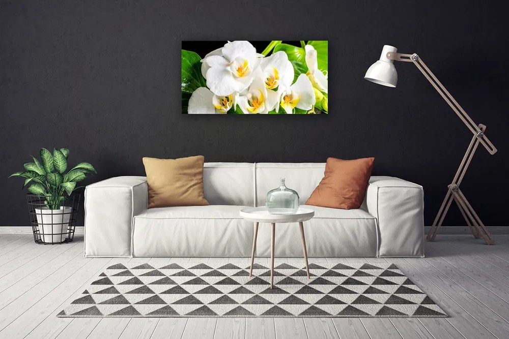 Obraz na plátně Orchidej Květiny Příroda 140x70 cm