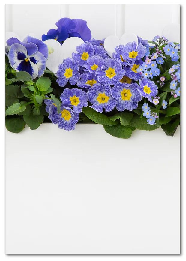 Wallmuralia Foto obraz akrylové sklo Fialové květiny 70x100 cm