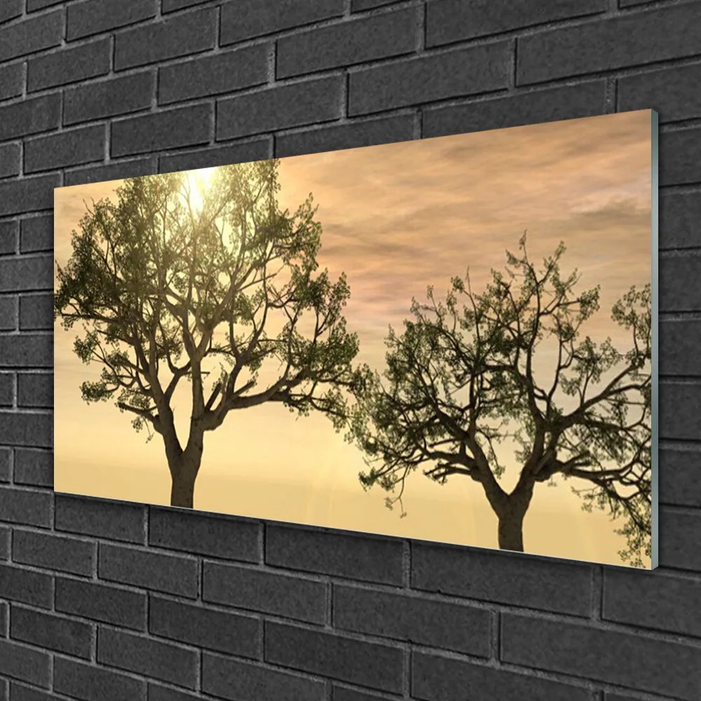 Obraz na skle Stromy Příroda 125x50 cm