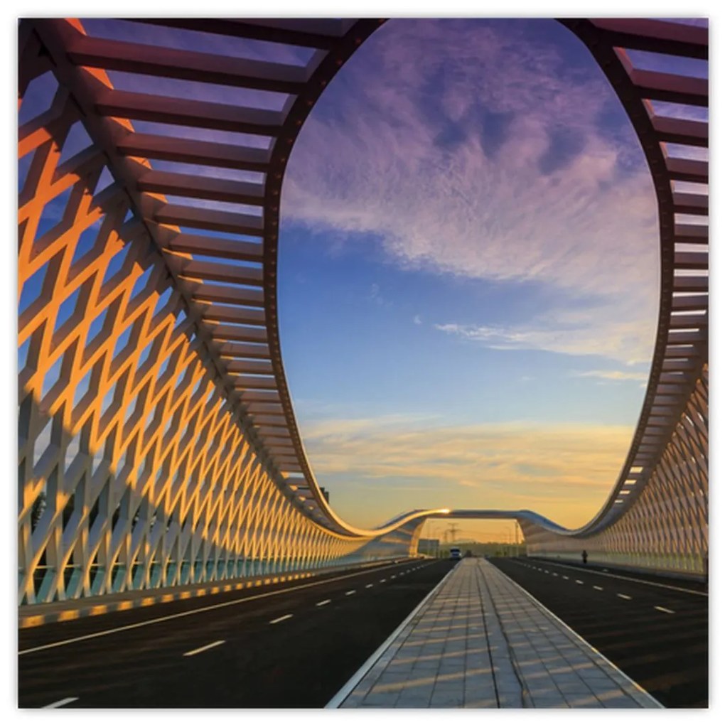 Obraz moderní architektury mostu (30x30 cm)