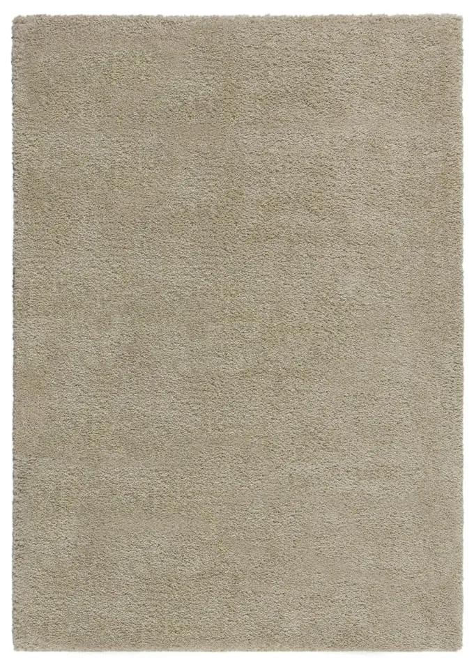 Béžový koberec 120x170 cm – Flair Rugs