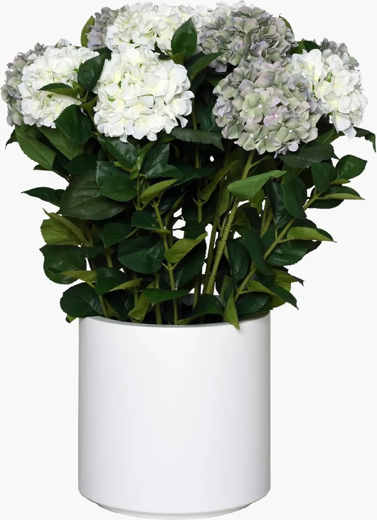 Umělá hortenzie HYDRANGEA v bílém květináči, výška 90 cm, modro-bílá