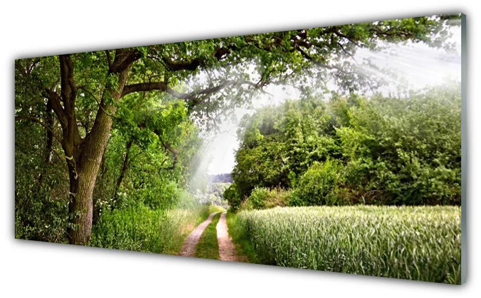 akrylový obraz Stromy Stezka Příroda 125x50 cm