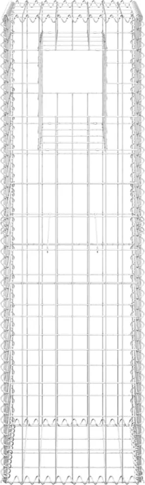 Gabionové sloupky 2 ks 40 x 40 x 140 cm železo 151263