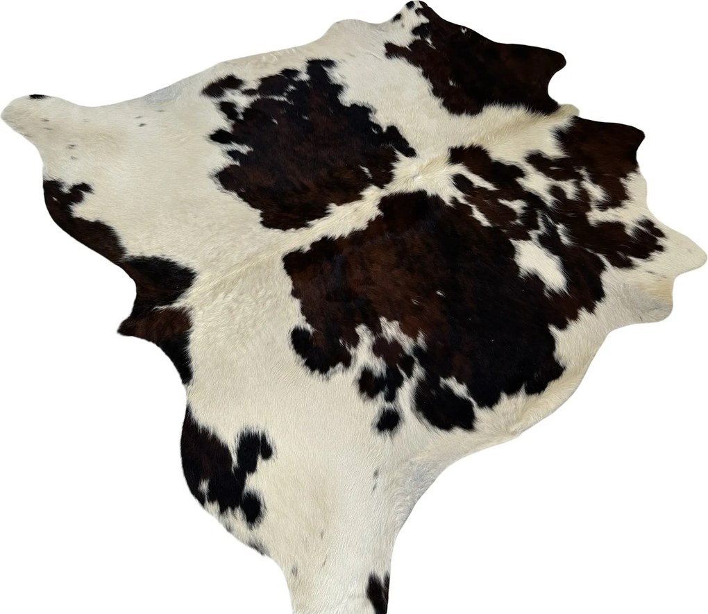 Koberec kusový hovězí kůže 3,1 m2, exotic tricolor 1040