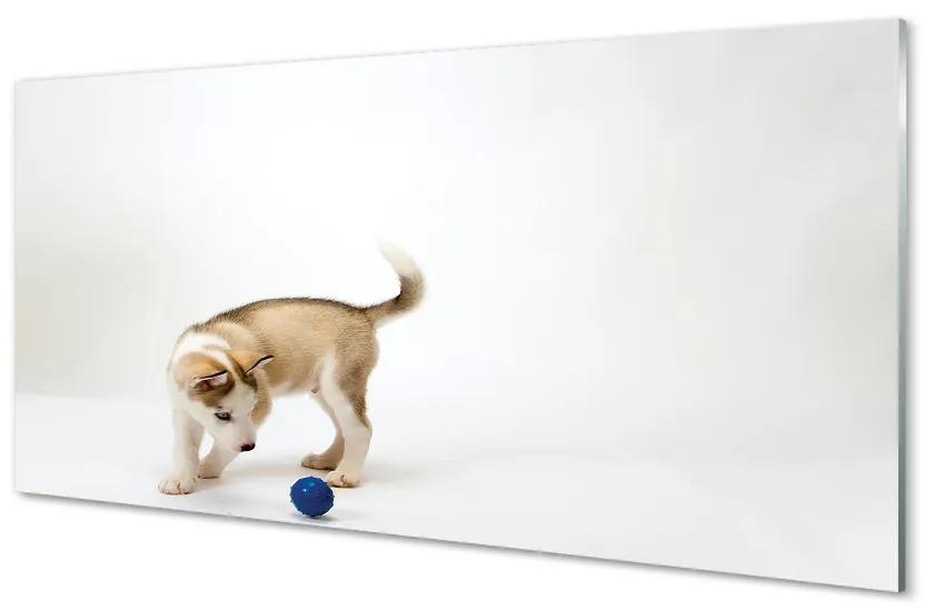 akrylový obraz Hrát s tím psem 120x60 cm
