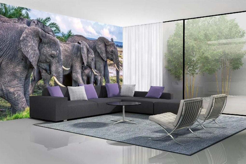 DIMEX | Samolepicí vliesová fototapeta na zeď Stádo slonů MA-5-0482 | 375 x 250 cm | zelená, béžová, hnědá, šedá