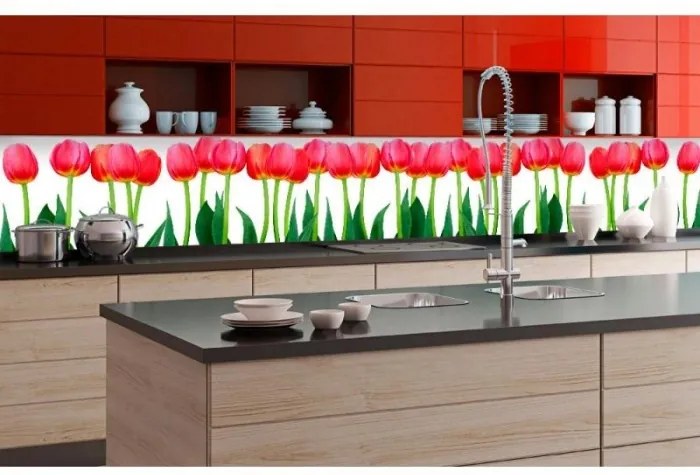 DIMEX | Fototapeta do kuchyně Tulipány KI-350-058 | 350 x 60 cm | zelená, červená