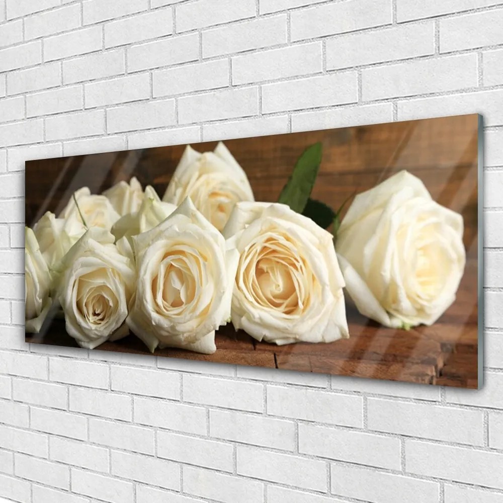 Plexisklo-obraz Růže Květiny Rostlina 125x50 cm