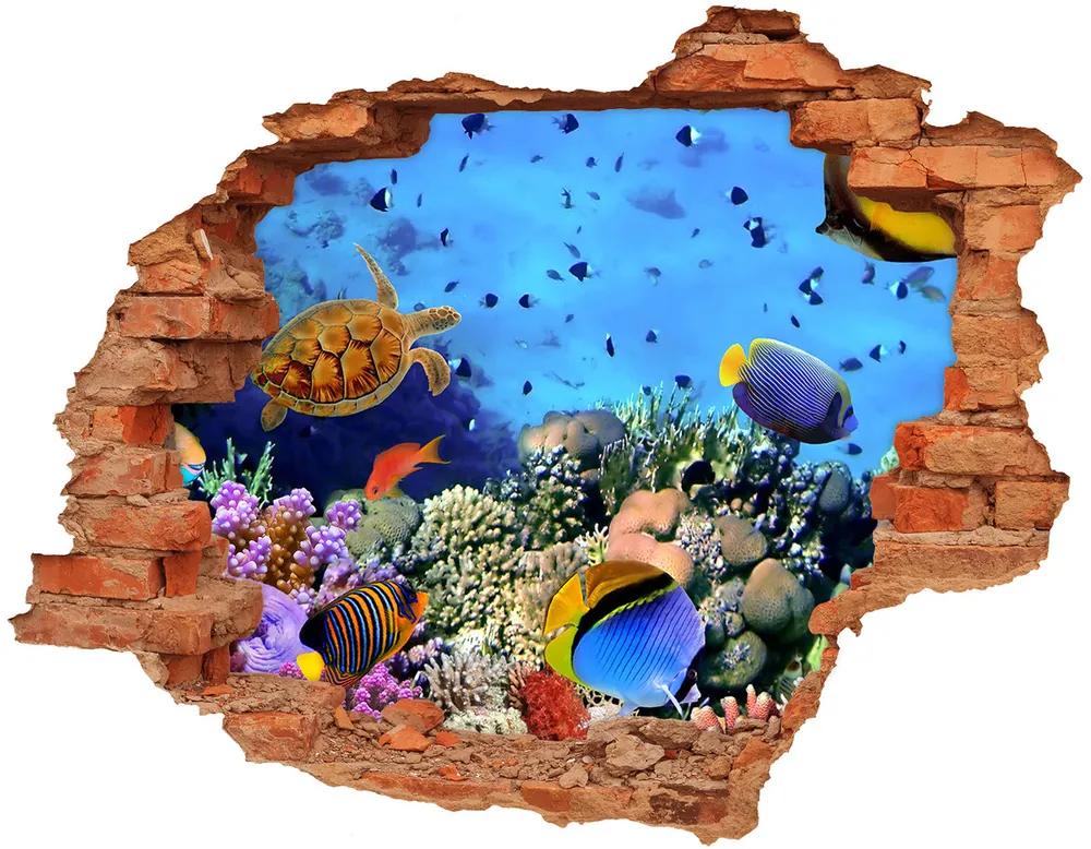Wallmuralia Díra 3D fototapeta nálepka Korálový útes 90x70 cm
