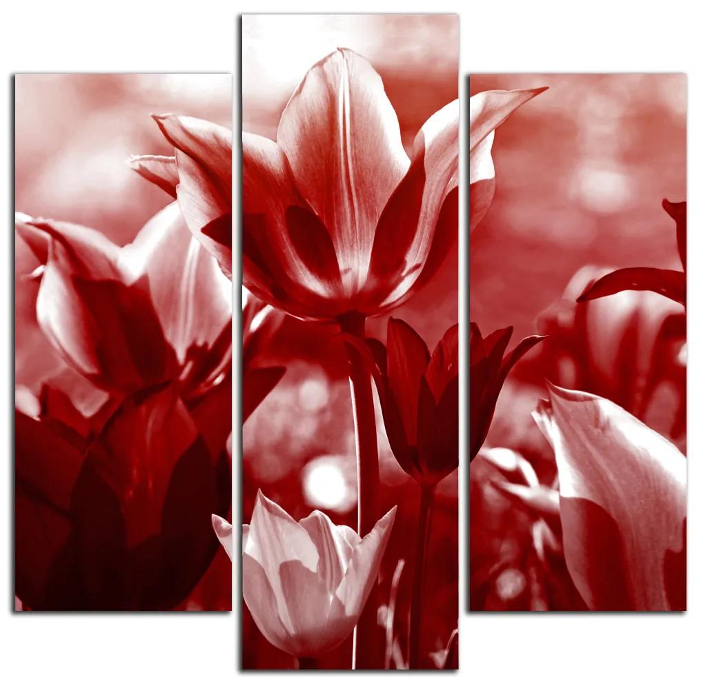Obraz Tulipány , vícedílný