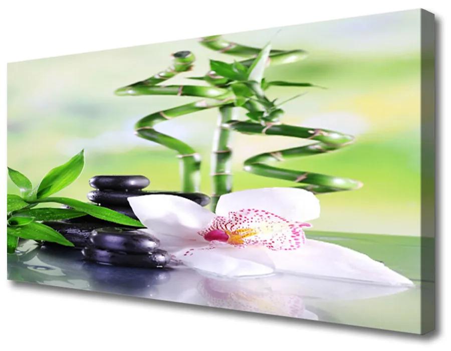 Obraz na plátně Orchidej Bambus Zen Lázně 140x70 cm