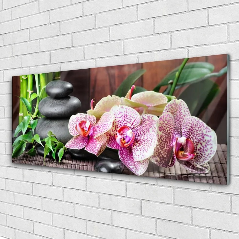 Plexisklo-obraz Bambus Kameny Zen Květiny 125x50 cm