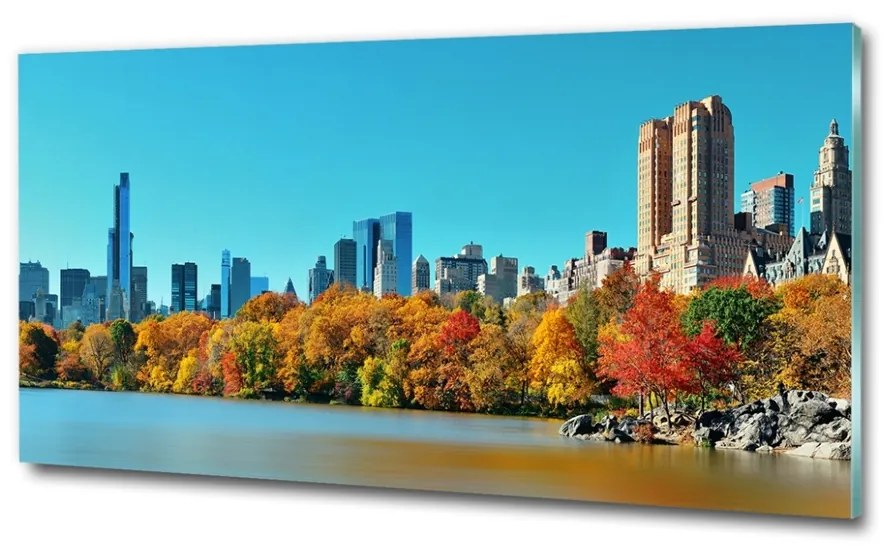 Wallmuralia Foto obraz skleněný horizontální New York podzim 100x50