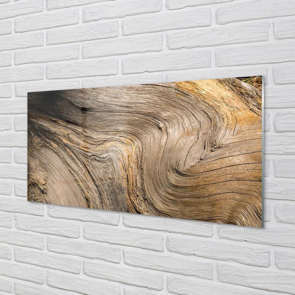 akrylový obraz Dřevo textury obilí 100x50 cm