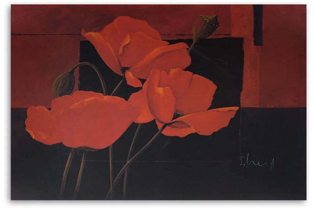 Obraz na plátně Květy máku Červená - 100x70 cm
