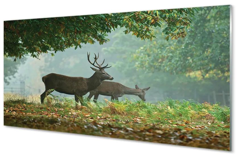 akrylový obraz Jelena na podzim les 100x50 cm