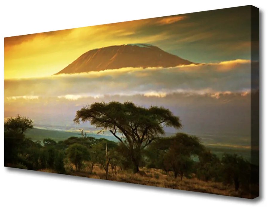 Obraz na plátně Strom Hory Příroda 125x50 cm