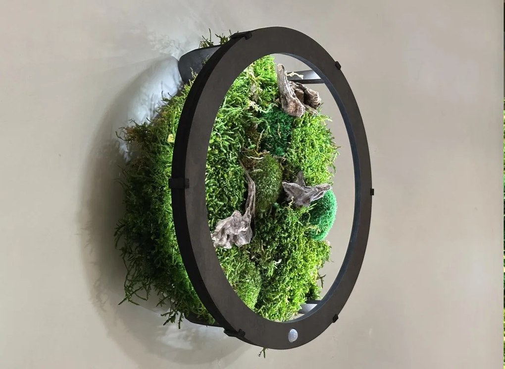 Li-Go "Mechové kopečky s kořeny" dřevěná lampa/obraz s baterií a pohybovým čidlem/černá s patinou velikost svítidla/hodin: 31 cm