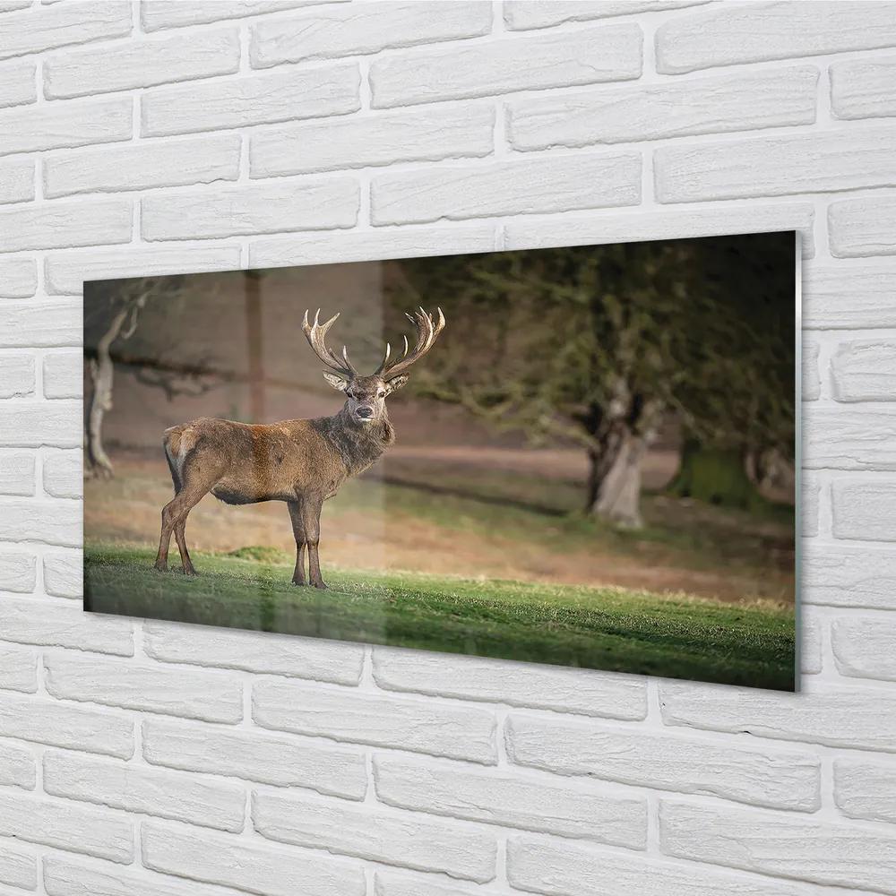 akrylový obraz Jelen v poli 140x70 cm