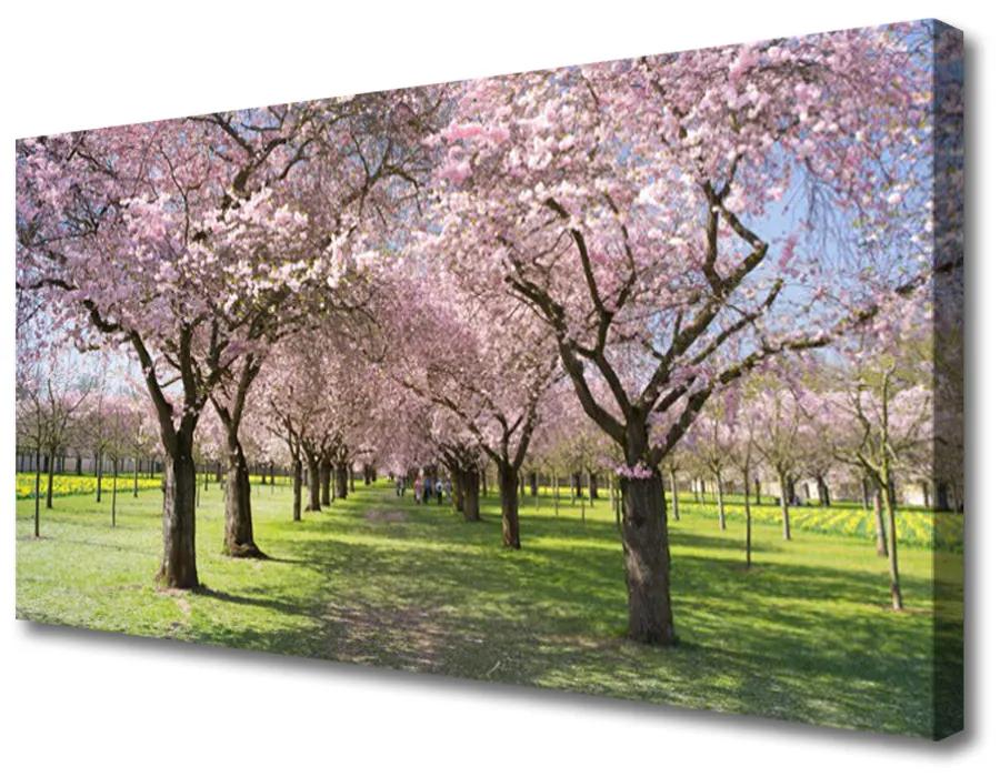 Obraz na plátně Stezka Stromy Příroda 120x60 cm
