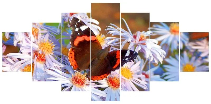 Obraz motýla (210x100 cm), 40 dalších rozměrů