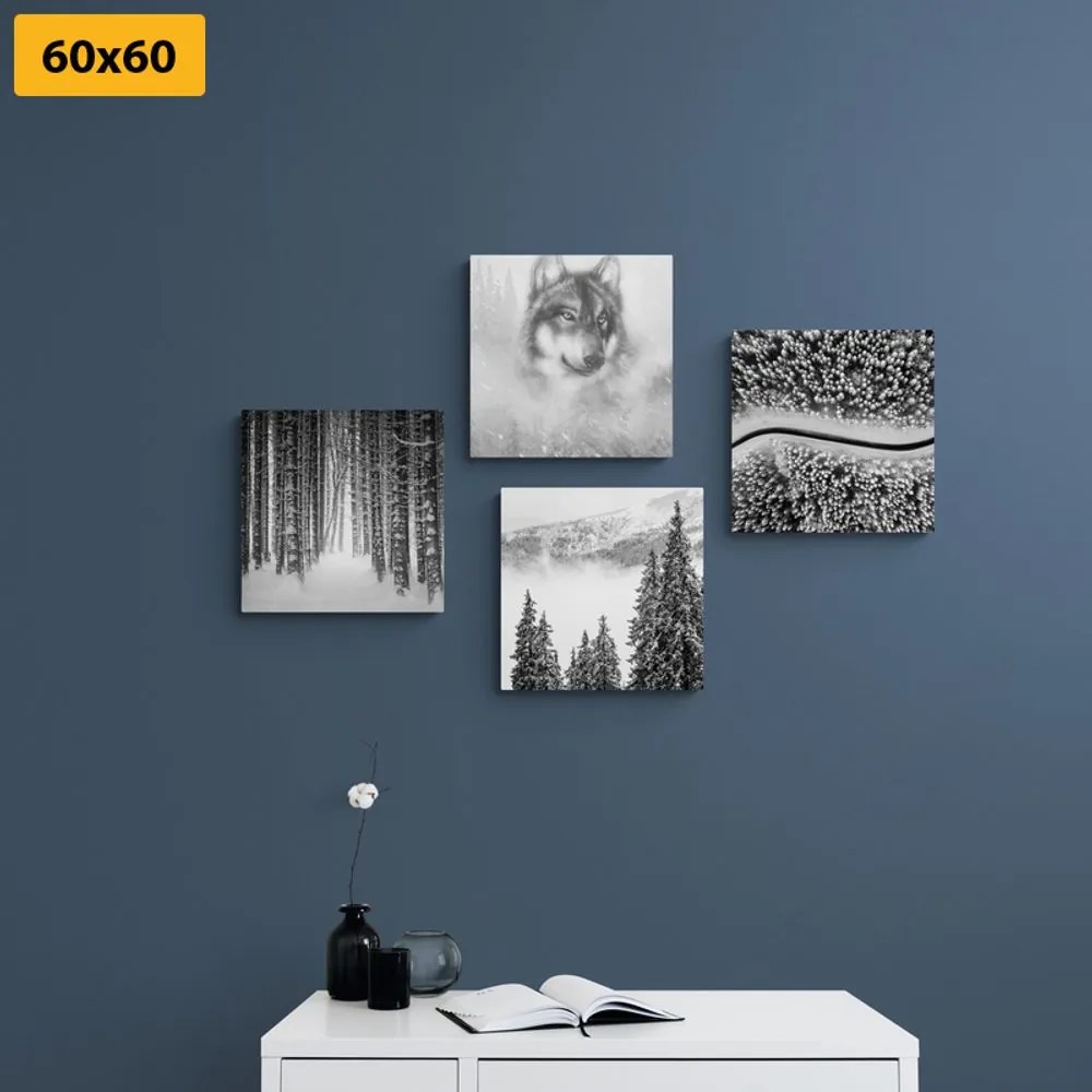 Set obrazů vlk v tajemném lese v černobílém provedení Varianta: 4x 40x40