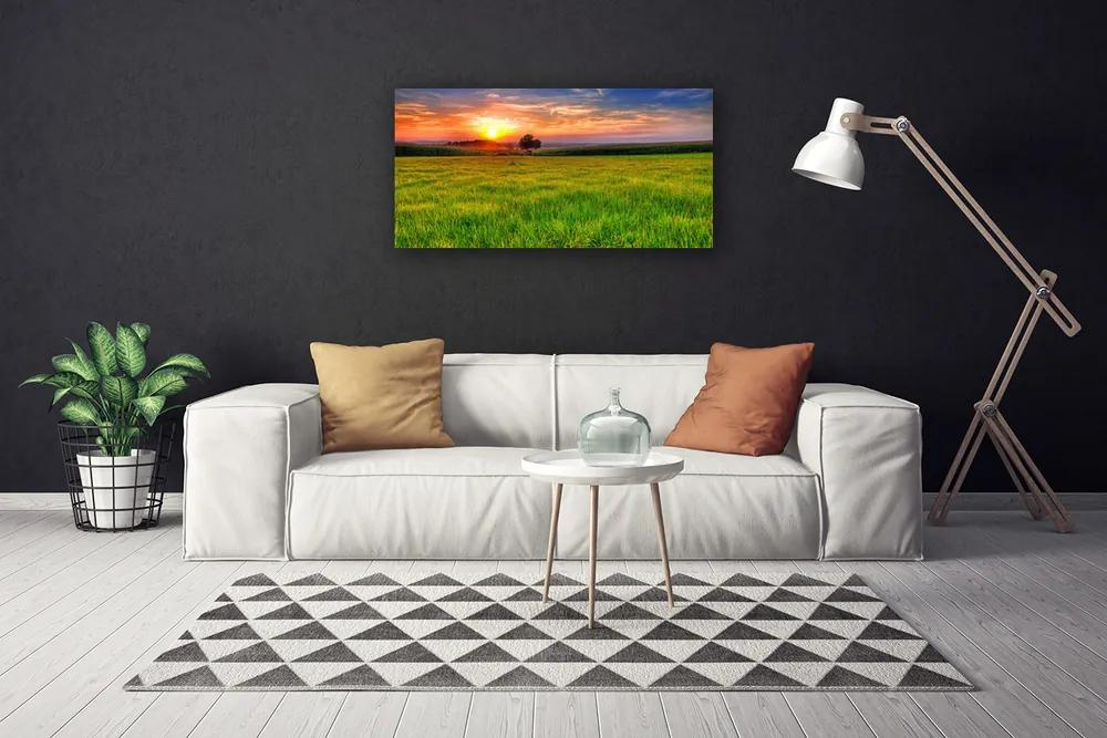 Obraz na plátně Louka Slunce Příroda 120x60 cm