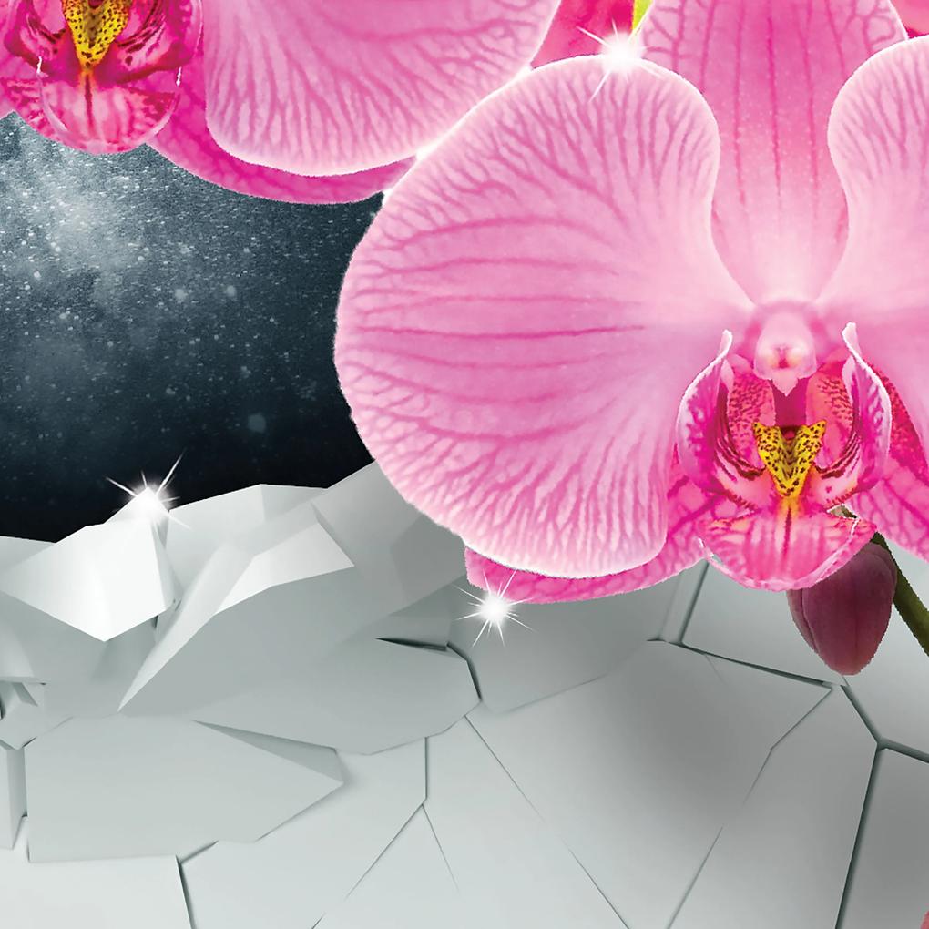 Malvis ® Obraz - orchidej Velikost (šířka x výška): 60x60 cm