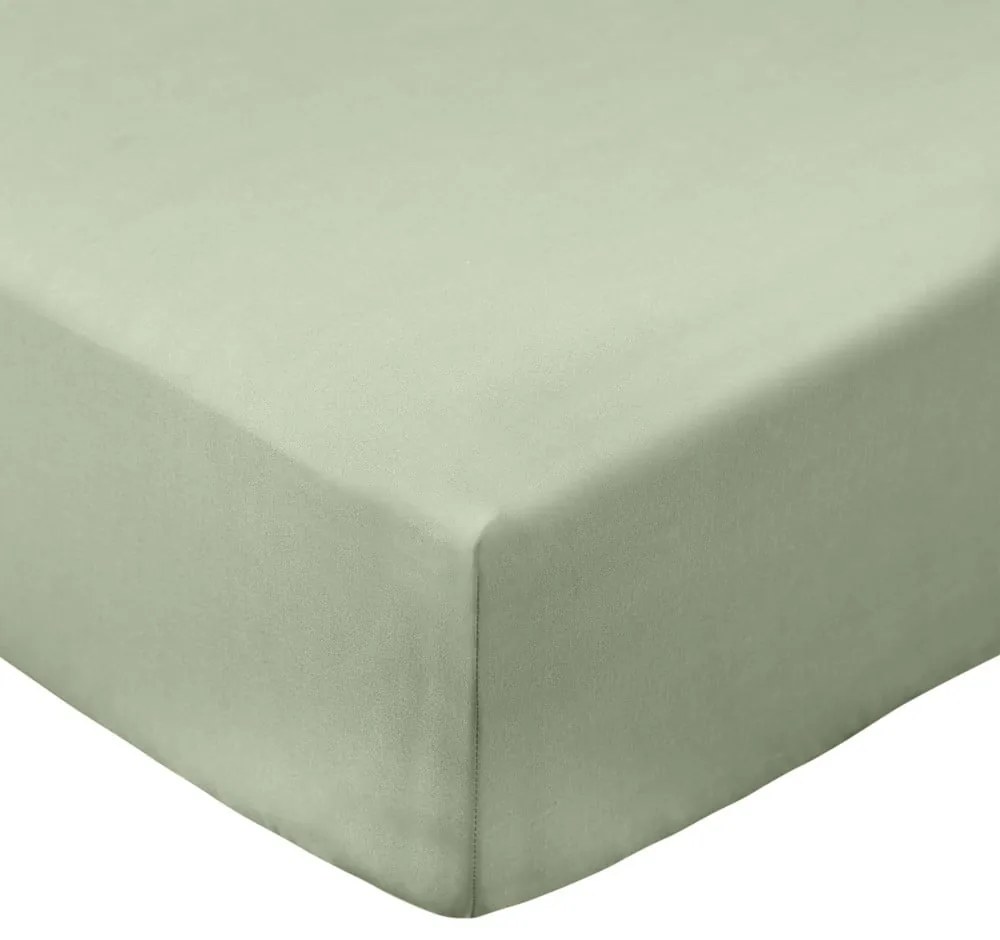 Zelené napínací prostěradlo z bavlněného perkálu 135x190 cm Cotton Percale – Bianca