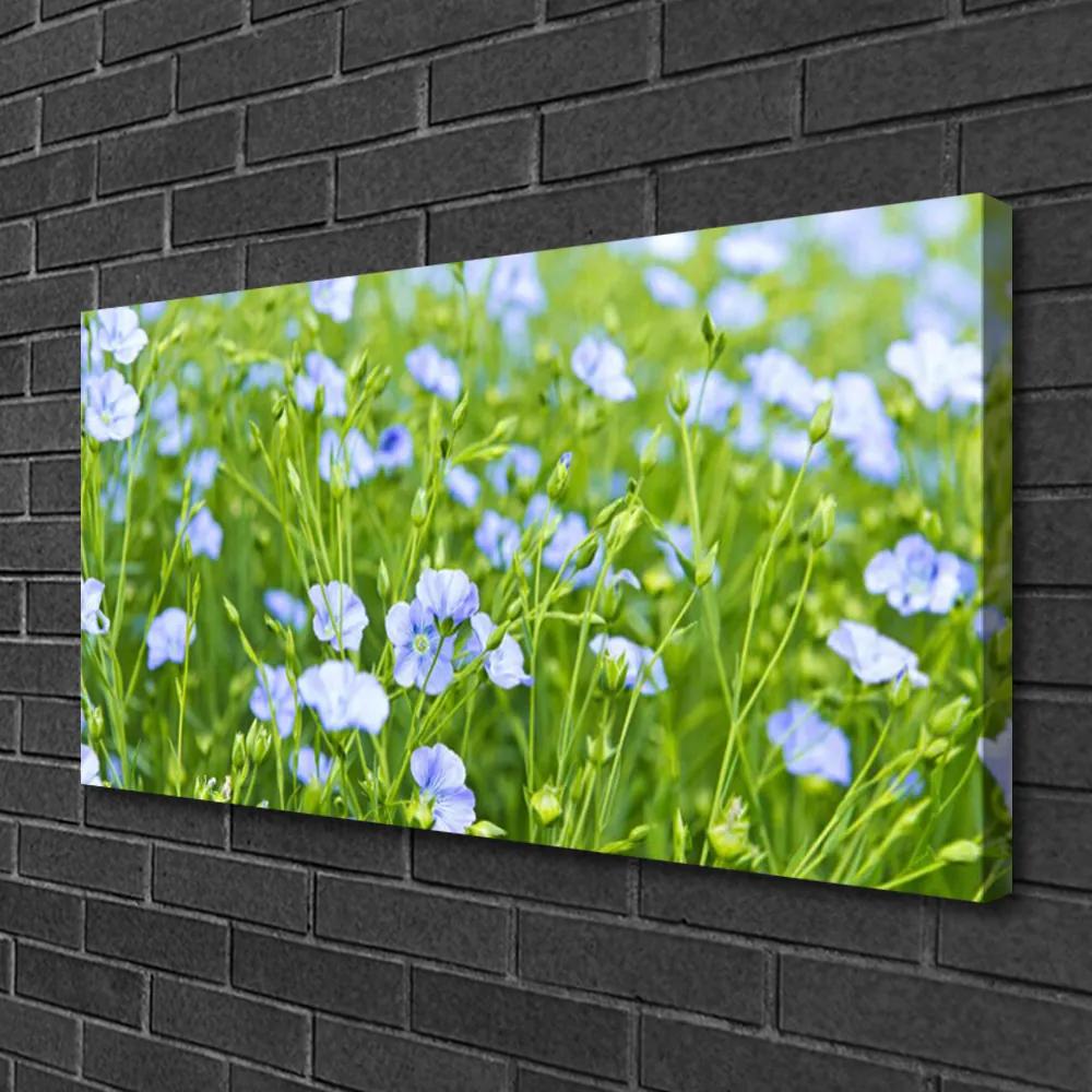 Obraz na plátně Květiny Tráva Rostlina Příroda 100x50 cm