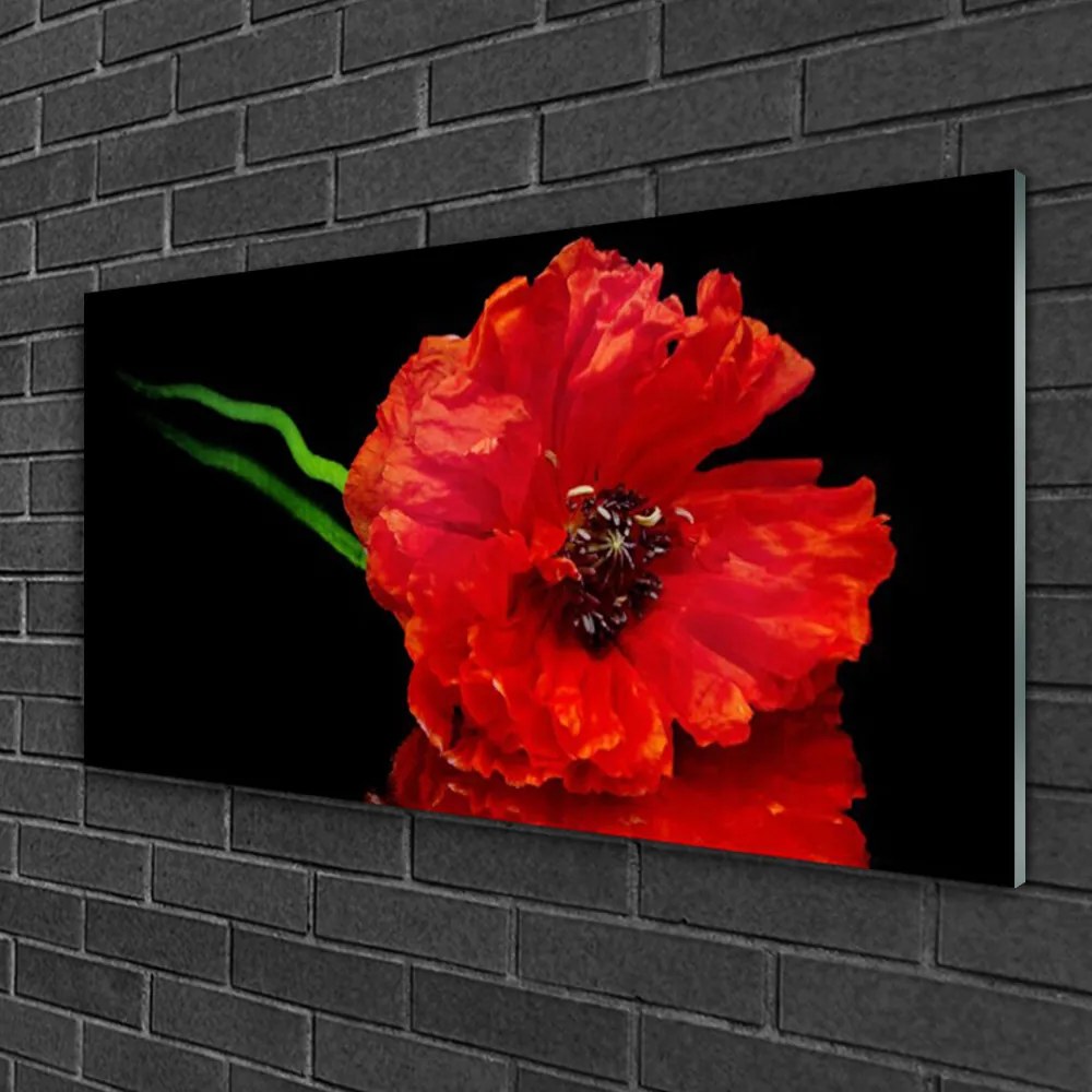 Obraz na skle Květ Mák Rostlina Příroda 140x70 cm