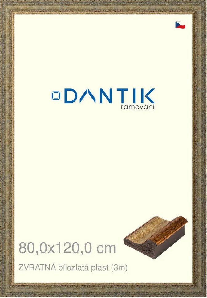 DANTIK rámeček 80x120 | ZVRATNÁ bílozlatá plast (Plexi Čiré)
