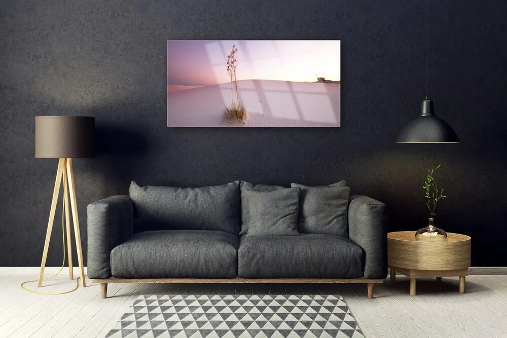 Obraz na skle Poušť Písek Krajina 120x60 cm