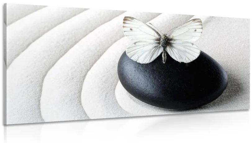 Obraz Zen kámen s motýlem Varianta: 100x50